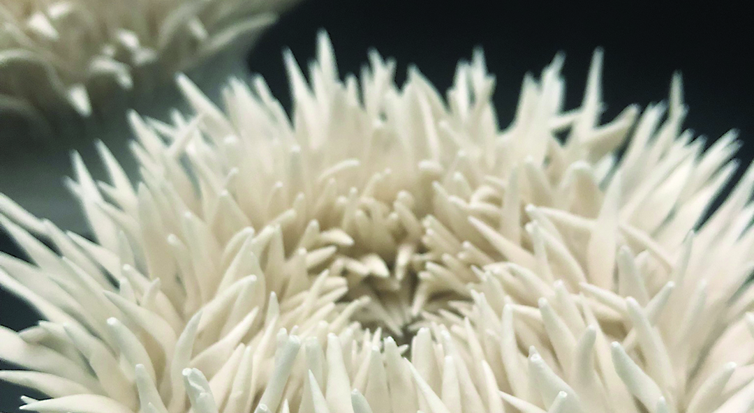 Fleurieu Living Magazine - The best of South Australia's Fleurieu ...